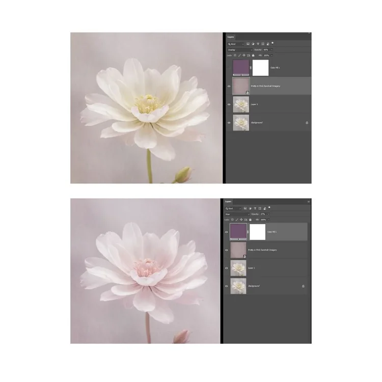 Blend Modes in Photoshop: Your Creative Secret Weapon-Digital Educator ...