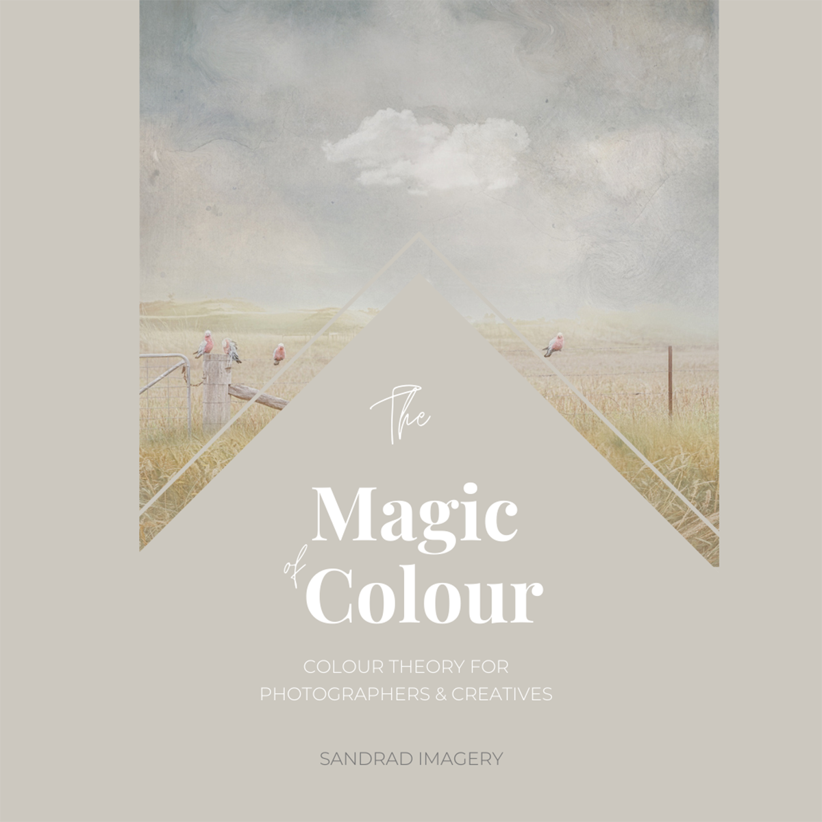 Understanding Colour Theory for Photographers-Digital Educator and Creative