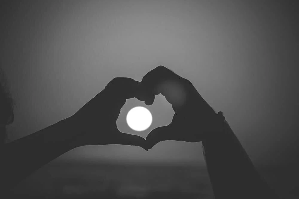 Portfolio — Permanent Equity: Investing in Companies that Care What ...