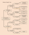 Unlocking Your Ancestry