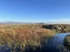 KINGSDALE HEAD