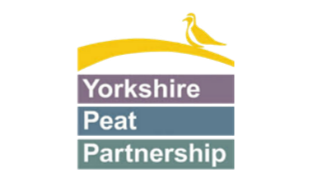 Partners — KINGSDALE HEAD