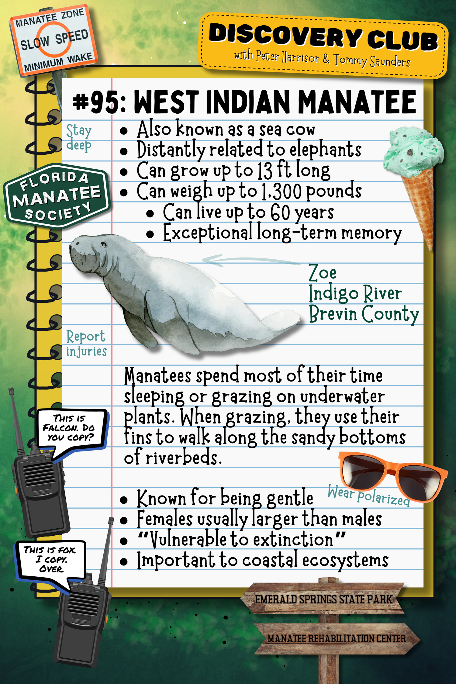 Manatee Summer by Evan Griffith — Casa de Casey