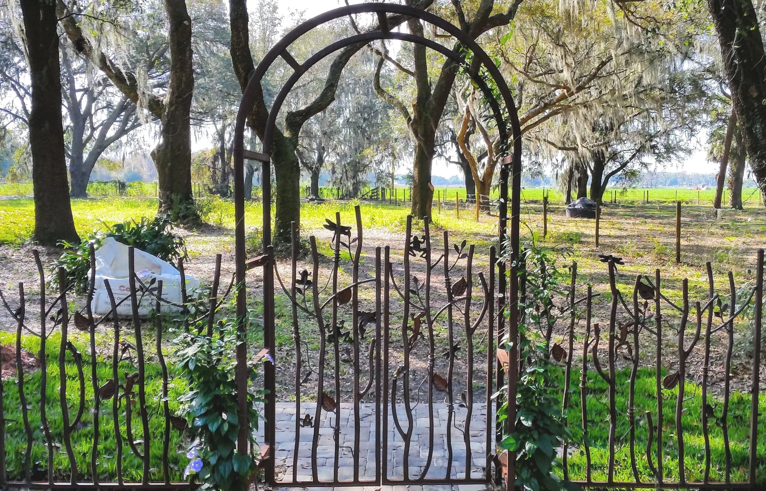 Metals & Nature Decorative Wrought Ironworks Bringing Your Garden To ...