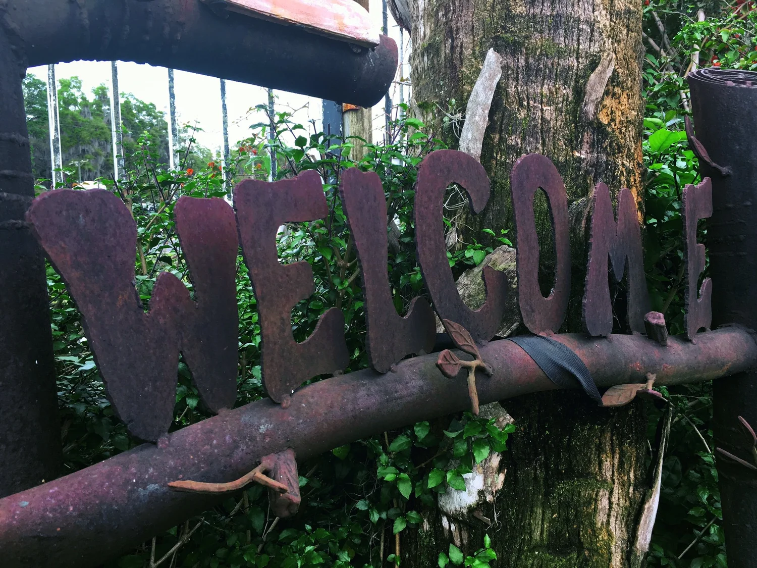 Metals & Nature | Discover custom iron gates, ornate garden metalwork ...