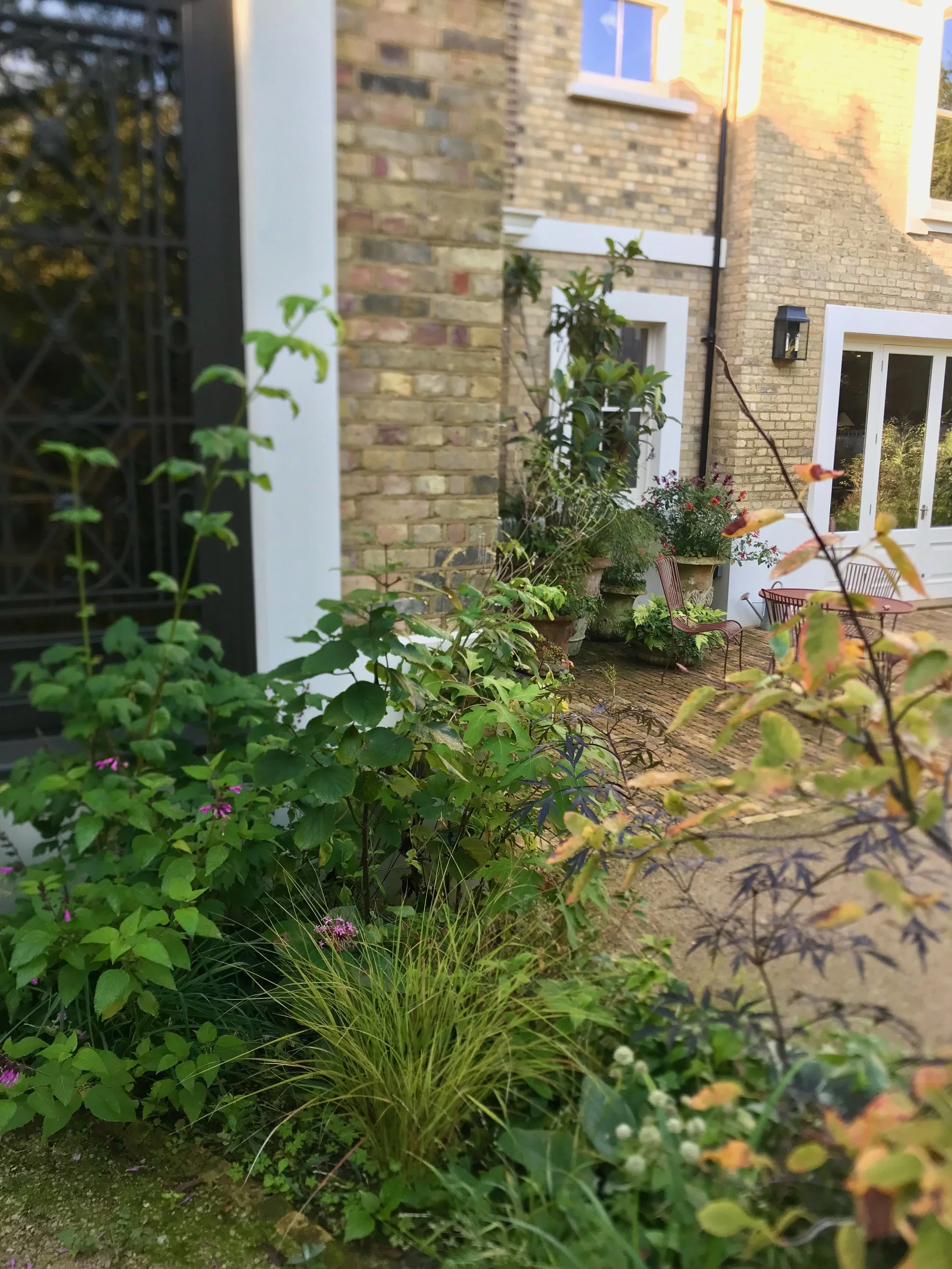 Julia Wylie - Designer Gardener