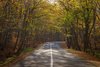 Postoperative Instructions — Matthew Fury, MD - Shoulder, Elbow, and ...