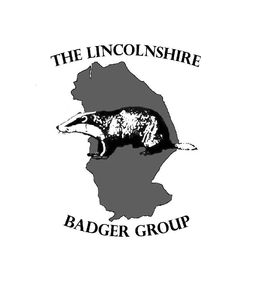 Lincolnshire Badger Group — Cleethorpes Wildlife Rescue