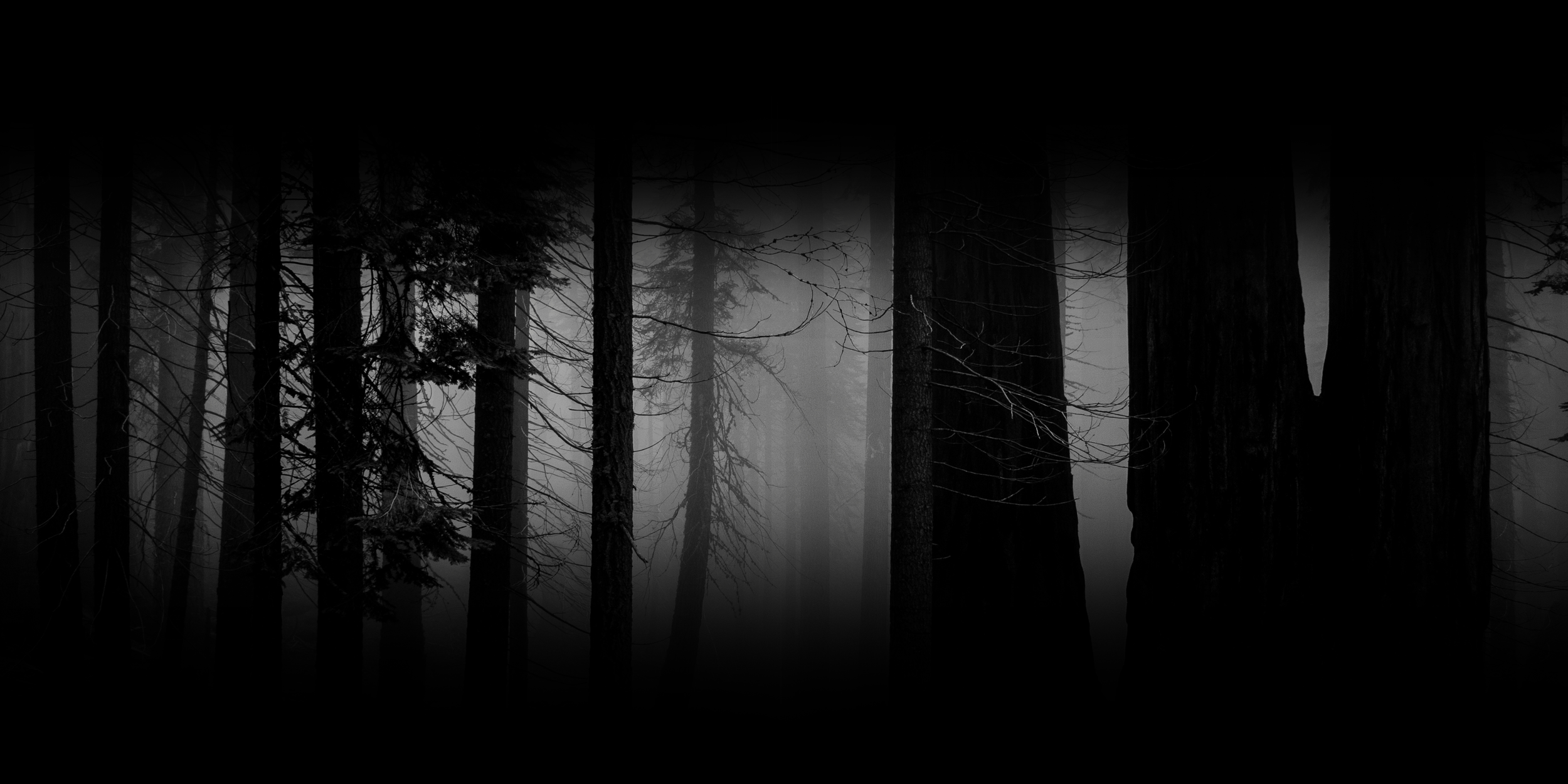 Camp Cryptids — Fionna Cosgrove