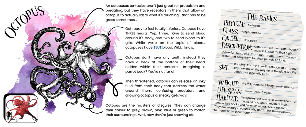 Meet the Real Monsters — Fionna Cosgrove