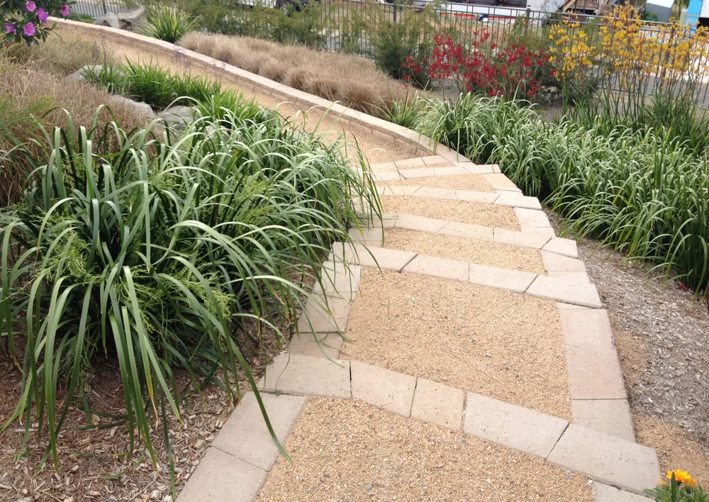 Sean & Gail's Native Garden - Burnside, QLD