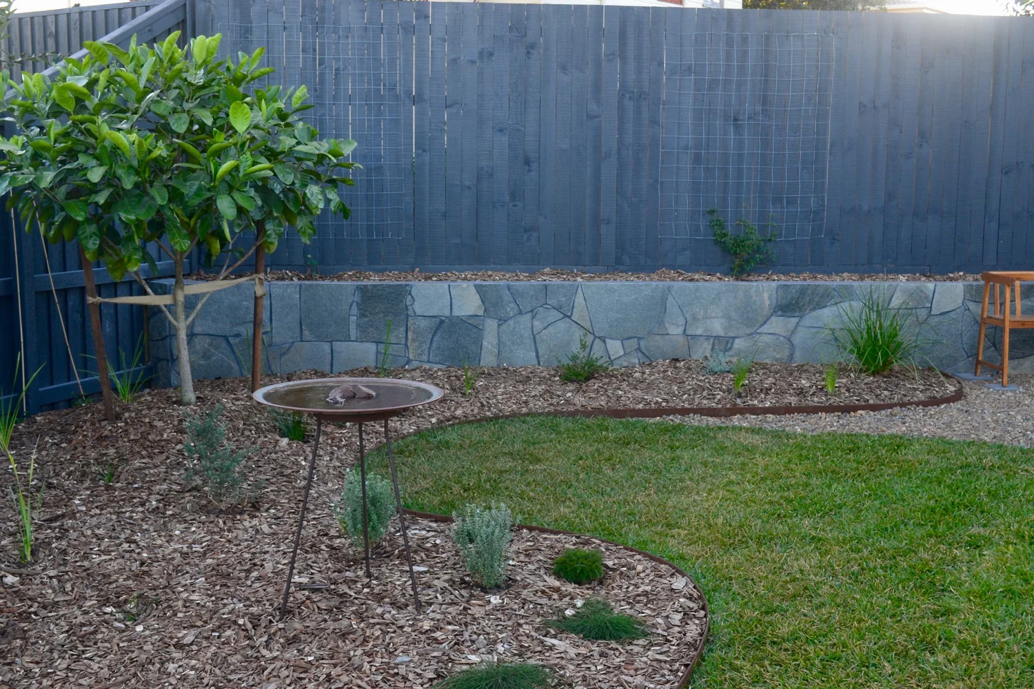 Paul & Anna's Native & Edible Garden - Buderim, QLD