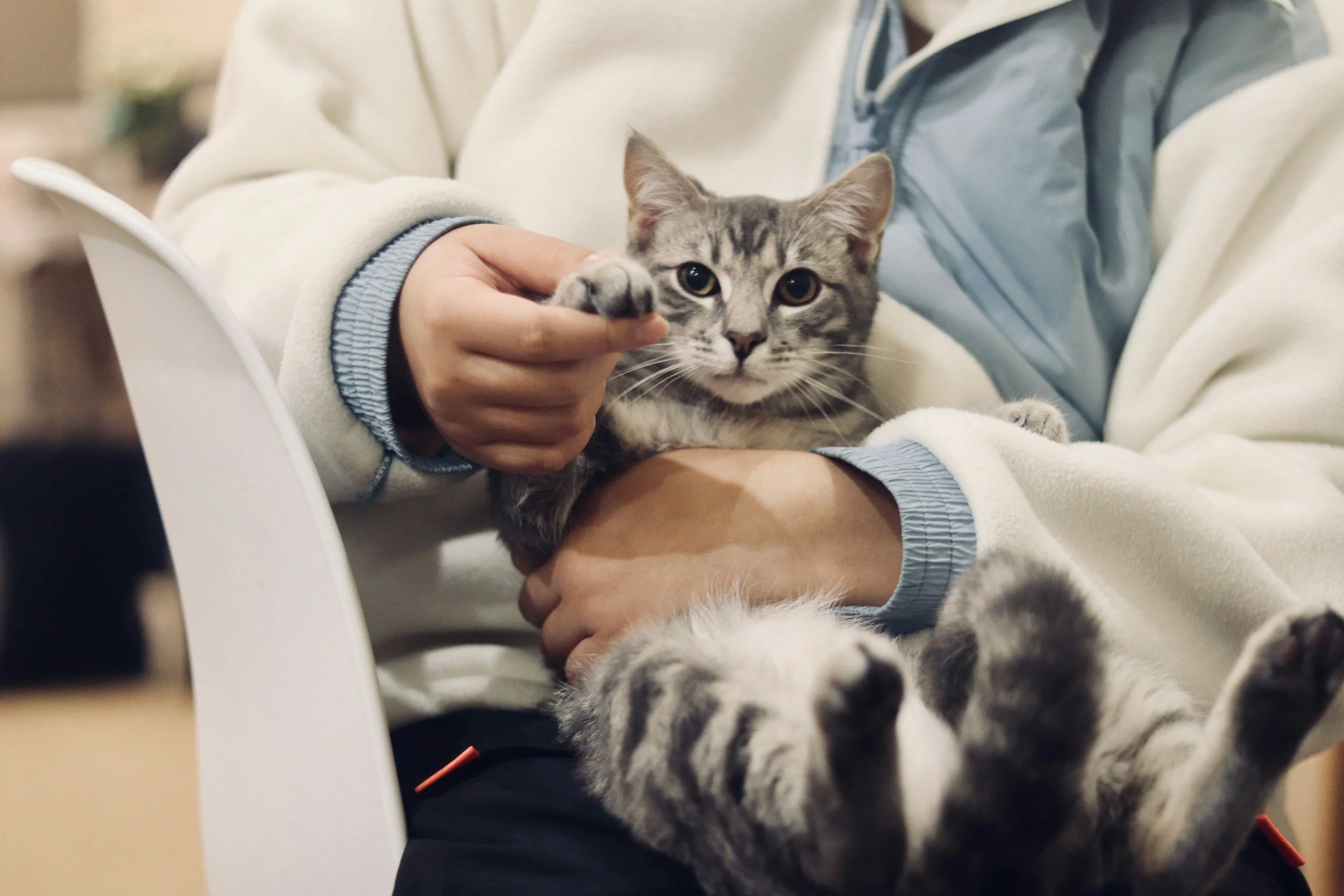 Resources for pet owners in need — Rhode Island Pet Network