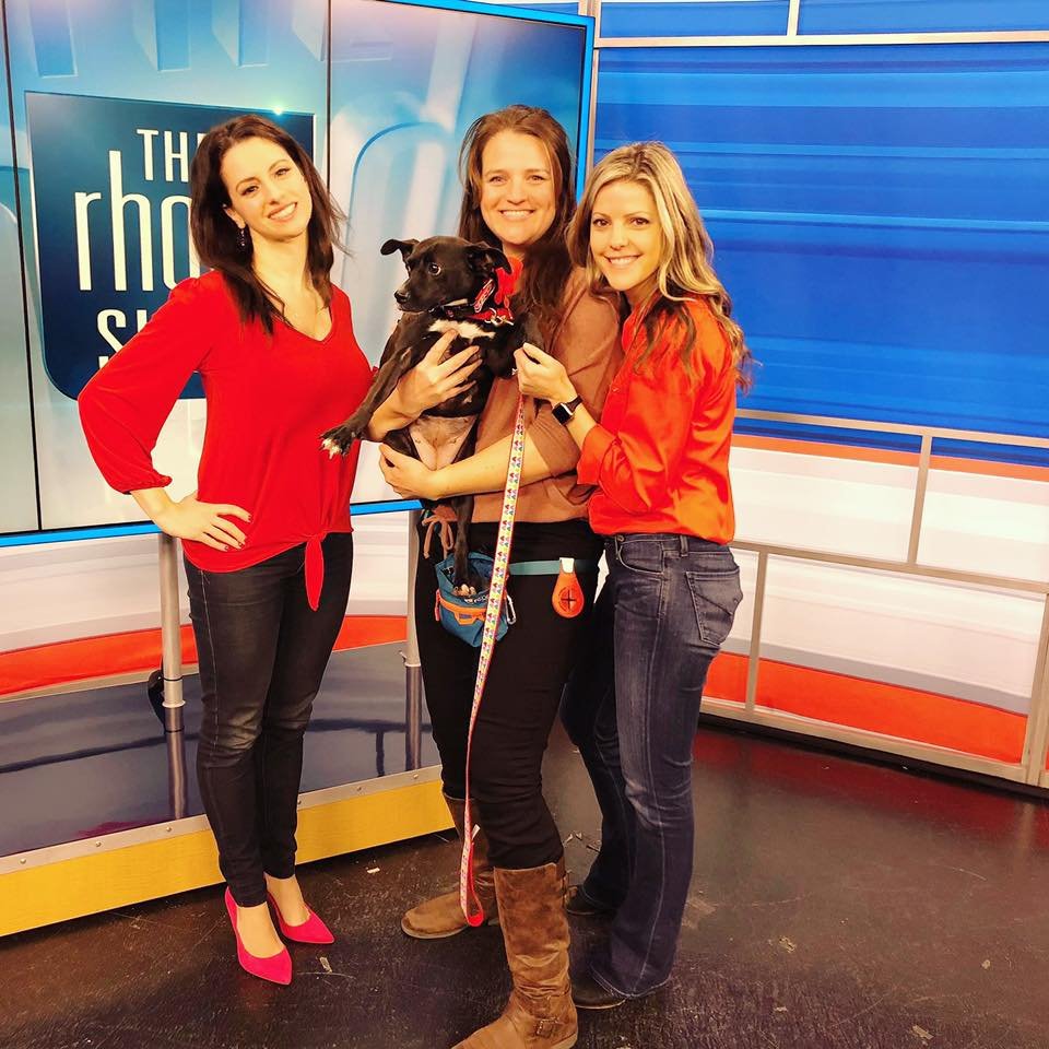 About Us — Rhode Island Pet Network