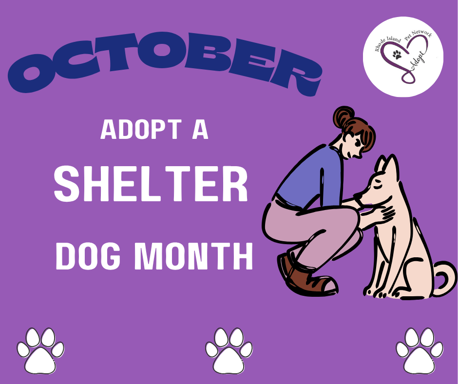 RI Celebrates Adopt-a-Shelter Dog Month — Rhode Island Pet Network