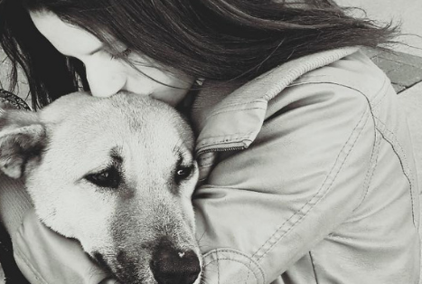 Donate — Rhode Island Pet Network