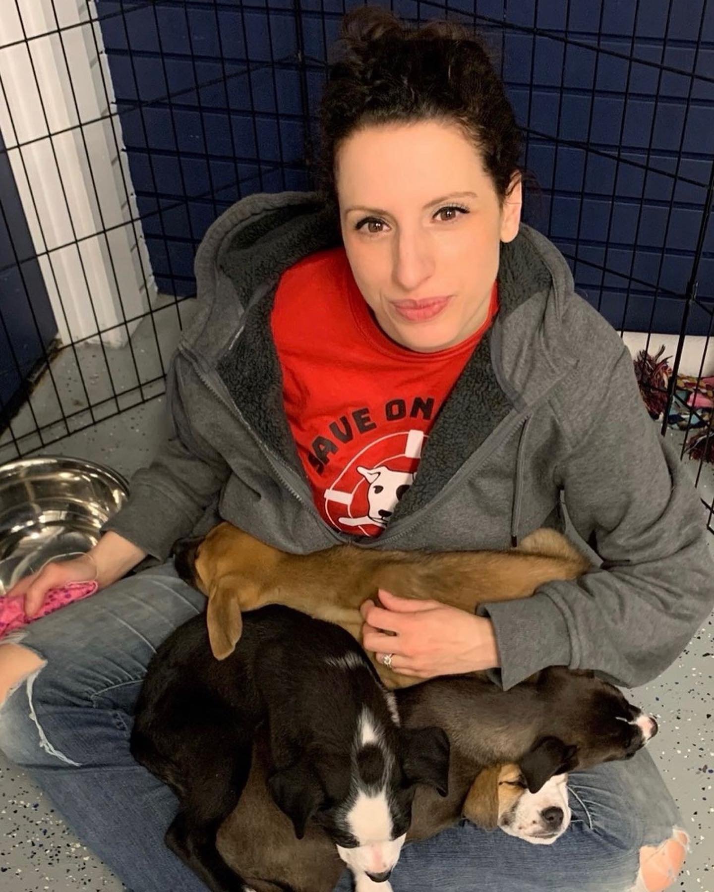 About Us — Rhode Island Pet Network