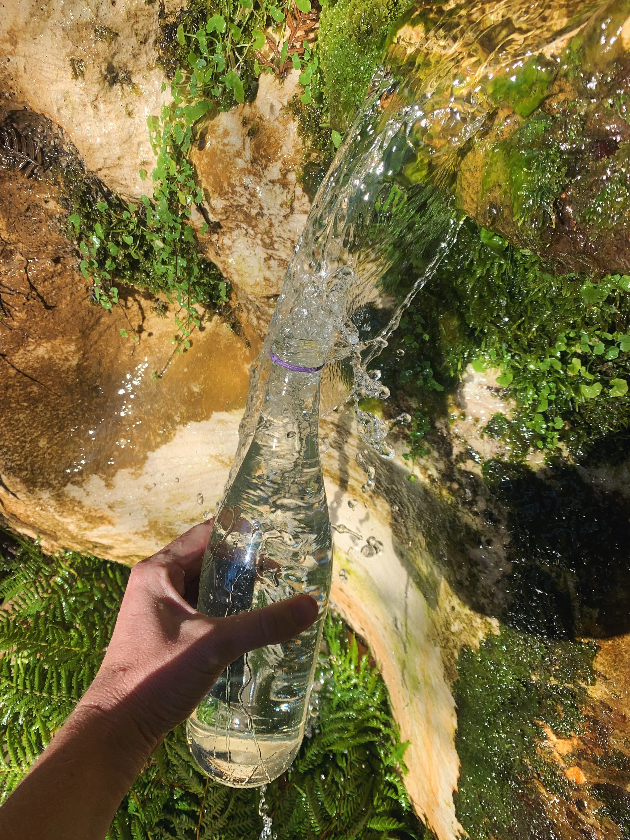 The Ultimate Guide to Water Filters — Becoming Fully Human