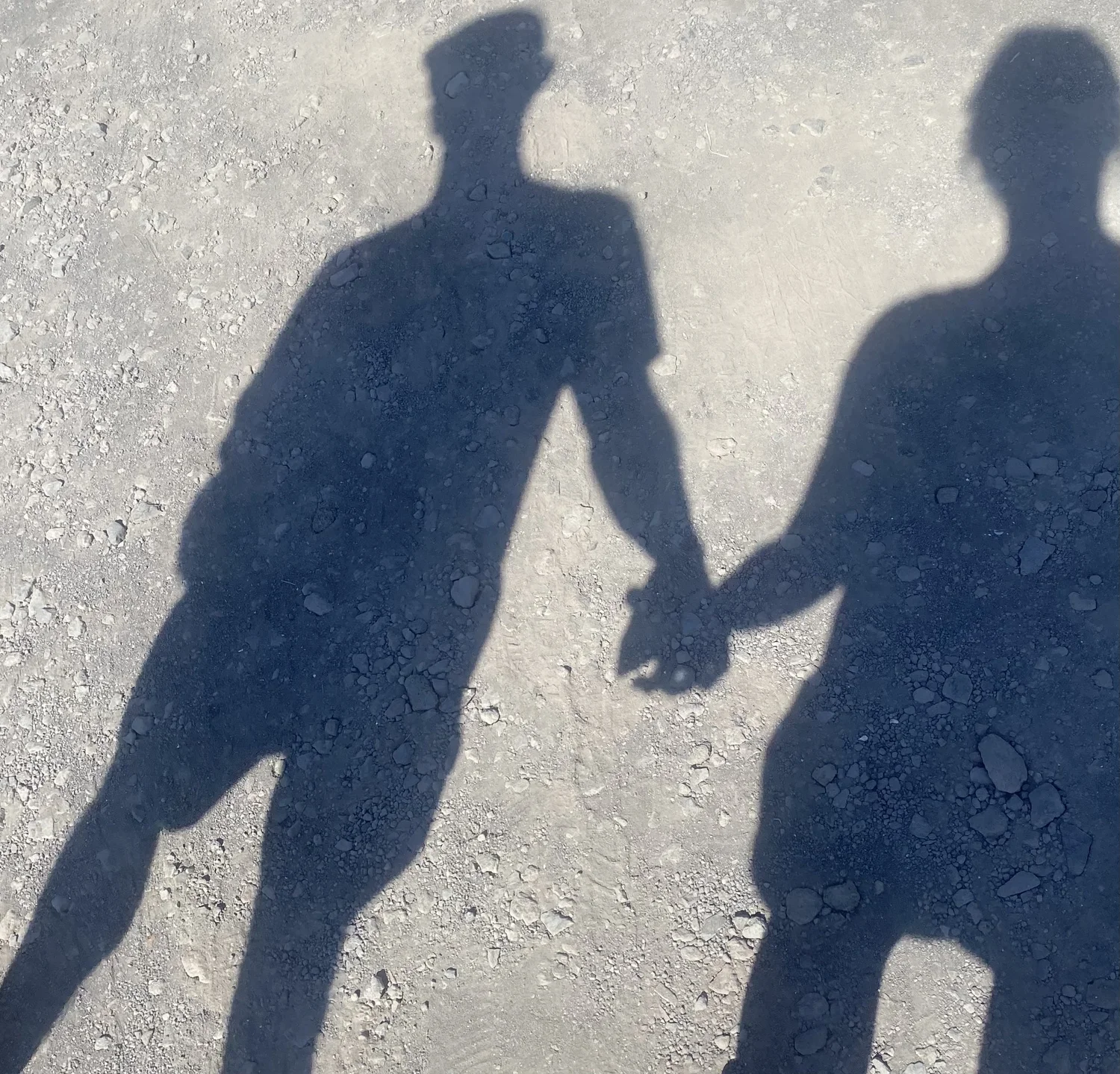 Shadow Work 101: What Is Your Shadow and How To Integrate It — BECOMING ...