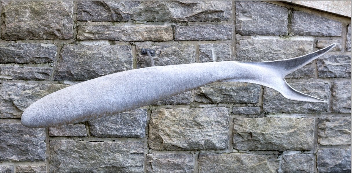 About 1 — Christ Church Greenwich