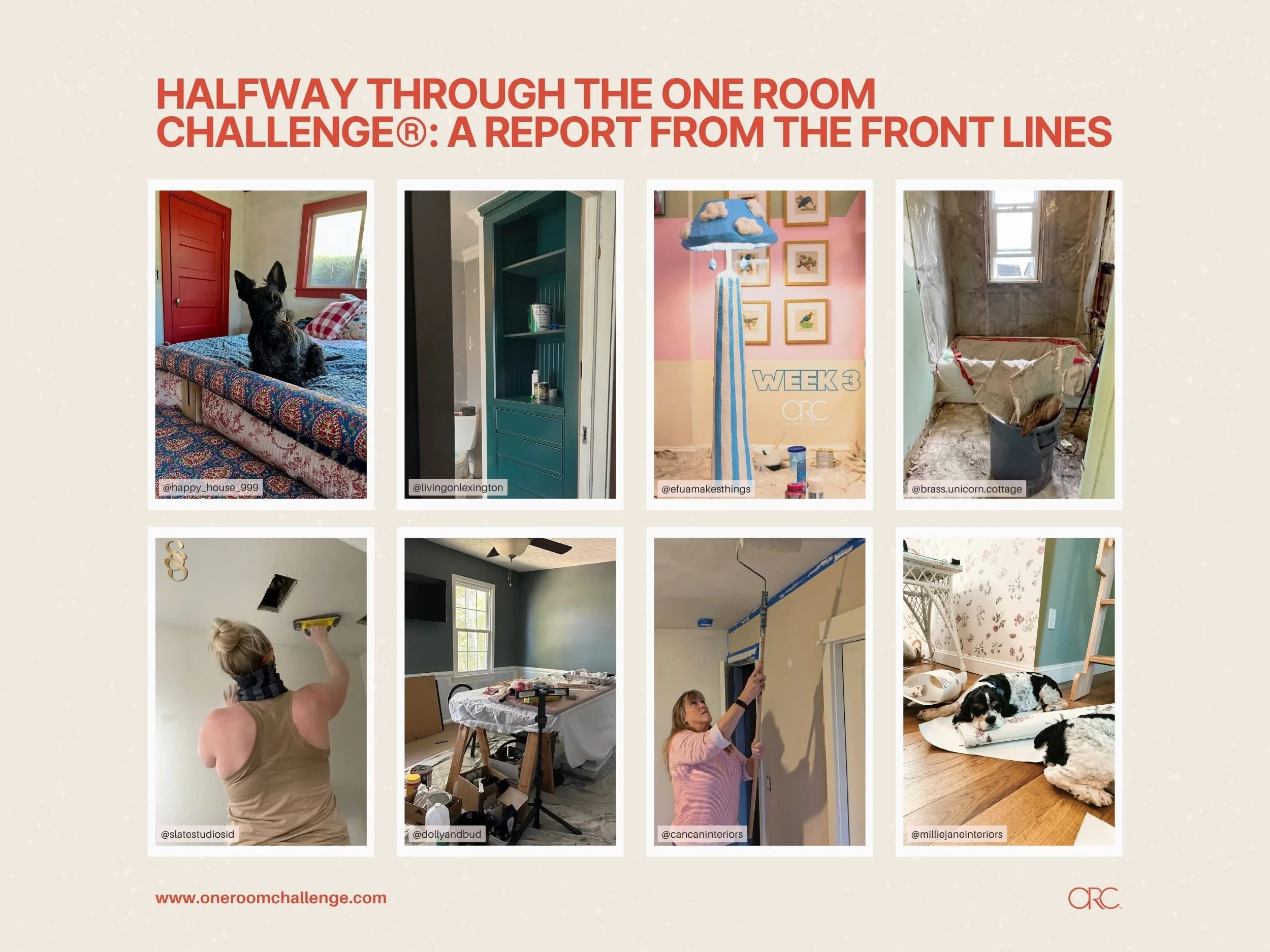 Molding, Wainscoting, and Paneling, Explained — ONE ROOM CHALLENGE®