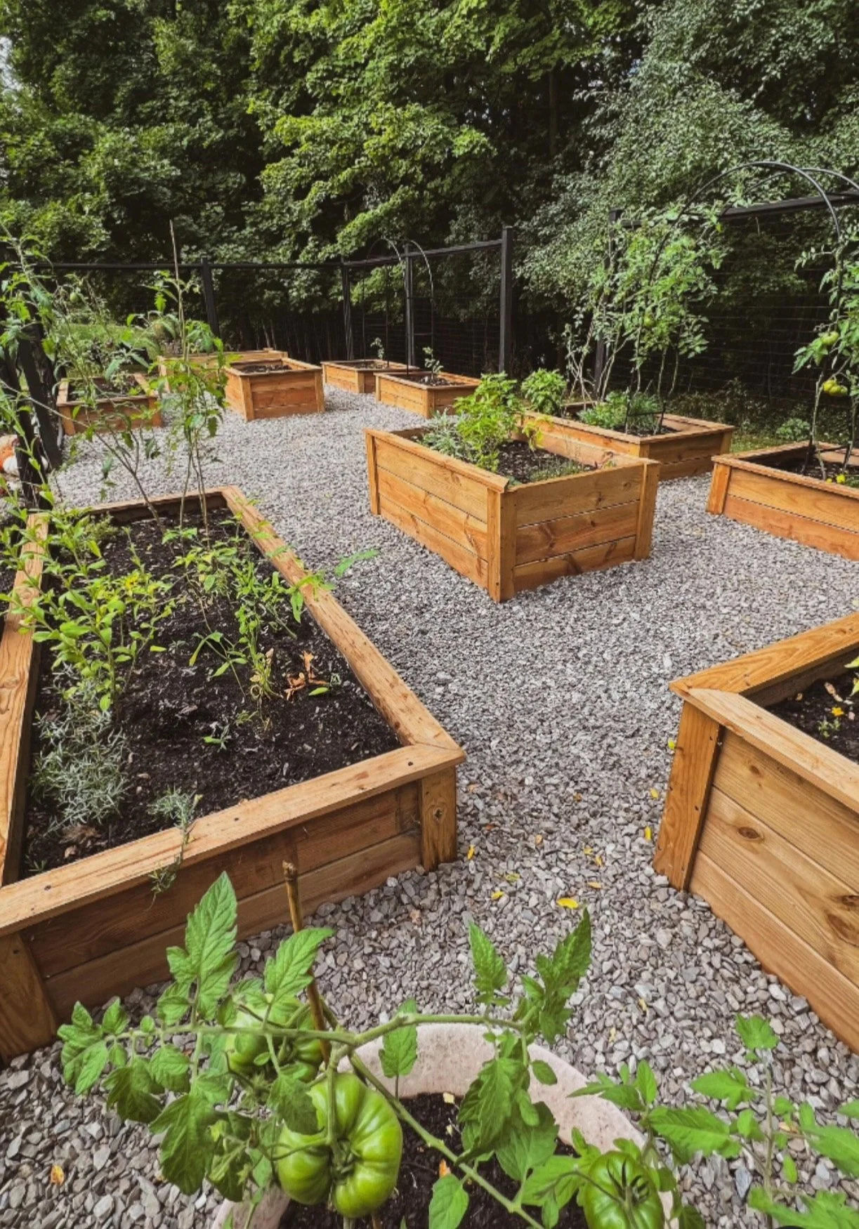 DIY: How To Build the Dream Backyard Raised Bed Garden From Scratch ...