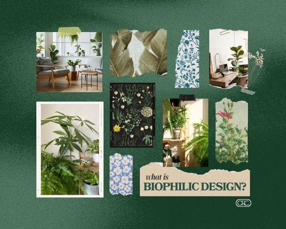 What Is Biophilic Design? — ONE ROOM CHALLENGE®