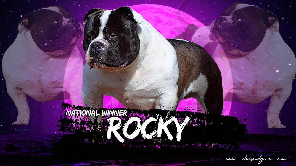 ROCKY — Chris & Gina