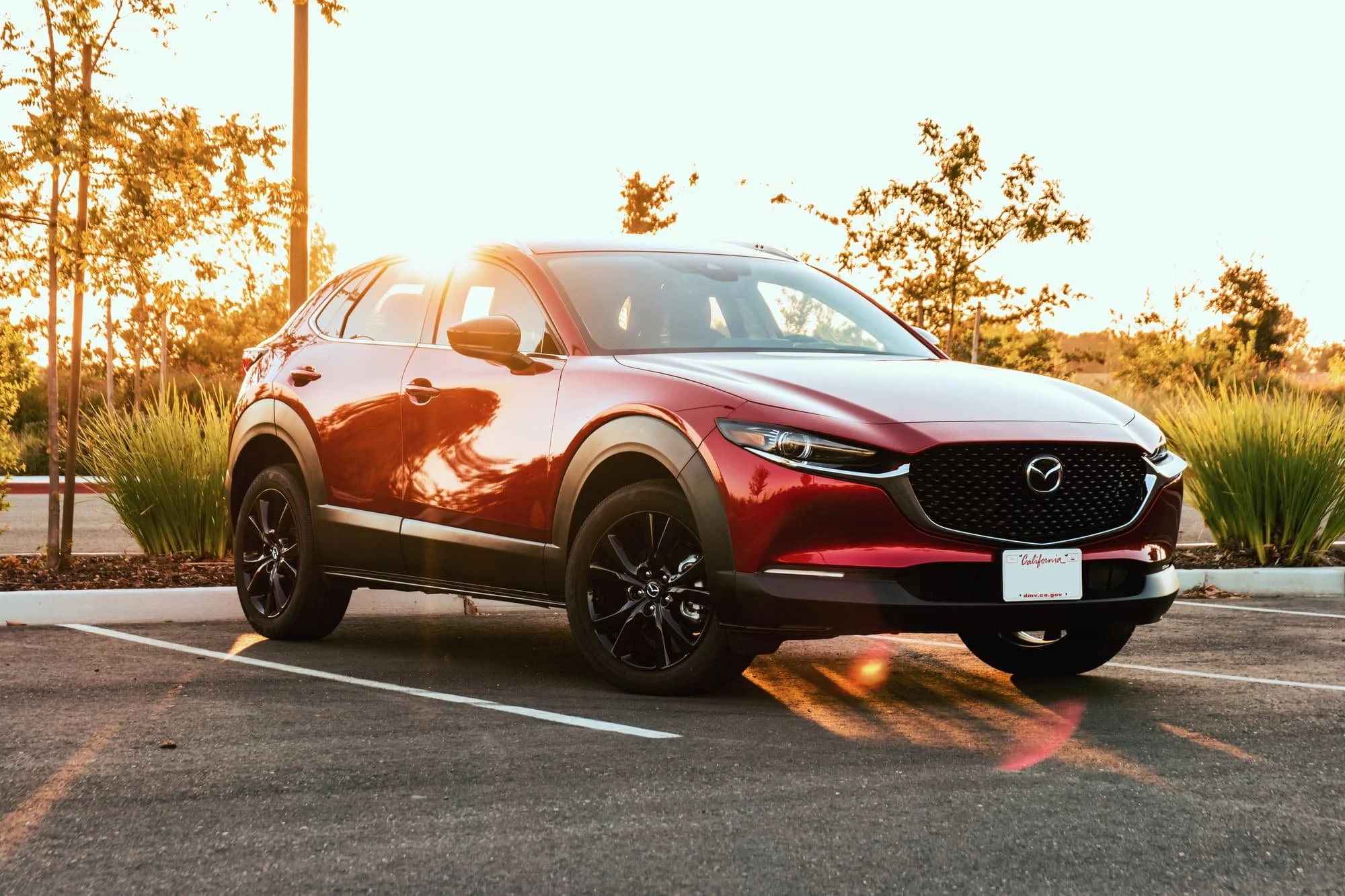 MazdaEdit Software License — DRTuned Racing