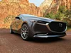 MazdaEdit Software License — DRTuned Racing