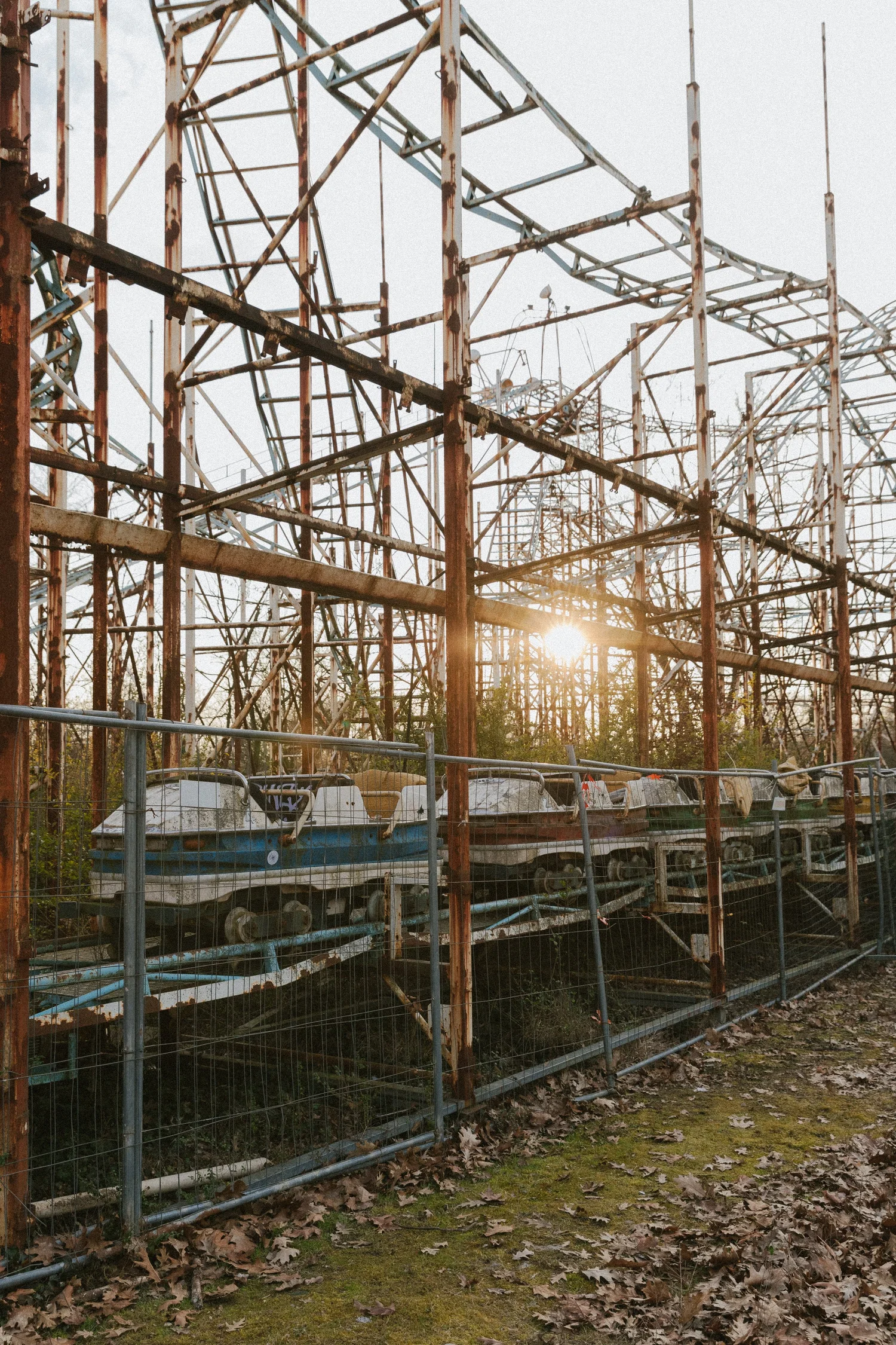 greenland — ALICE PICCIN