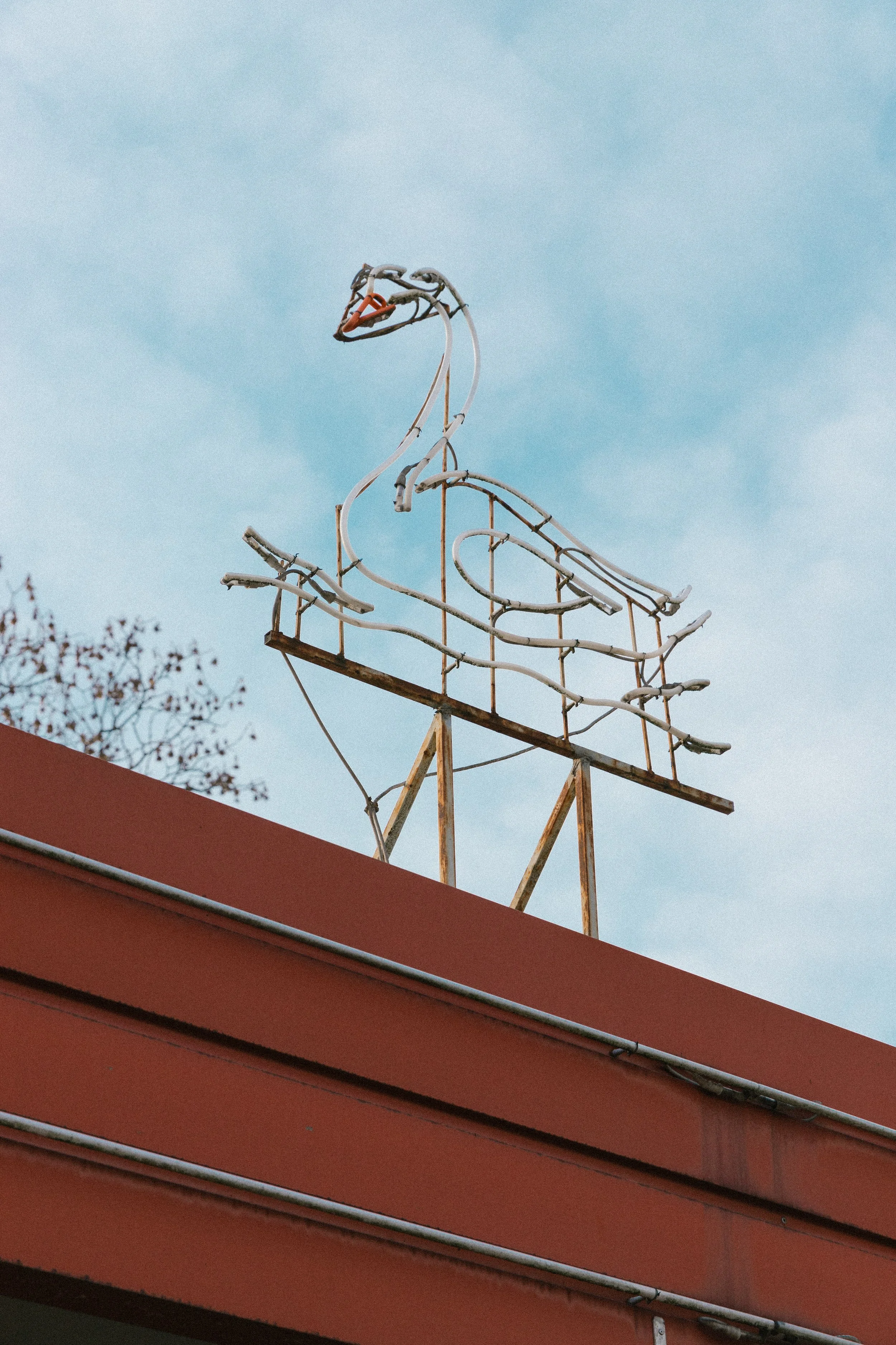 greenland — ALICE PICCIN