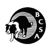 About BCSA — BCSA