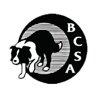 About BCSA — BCSA
