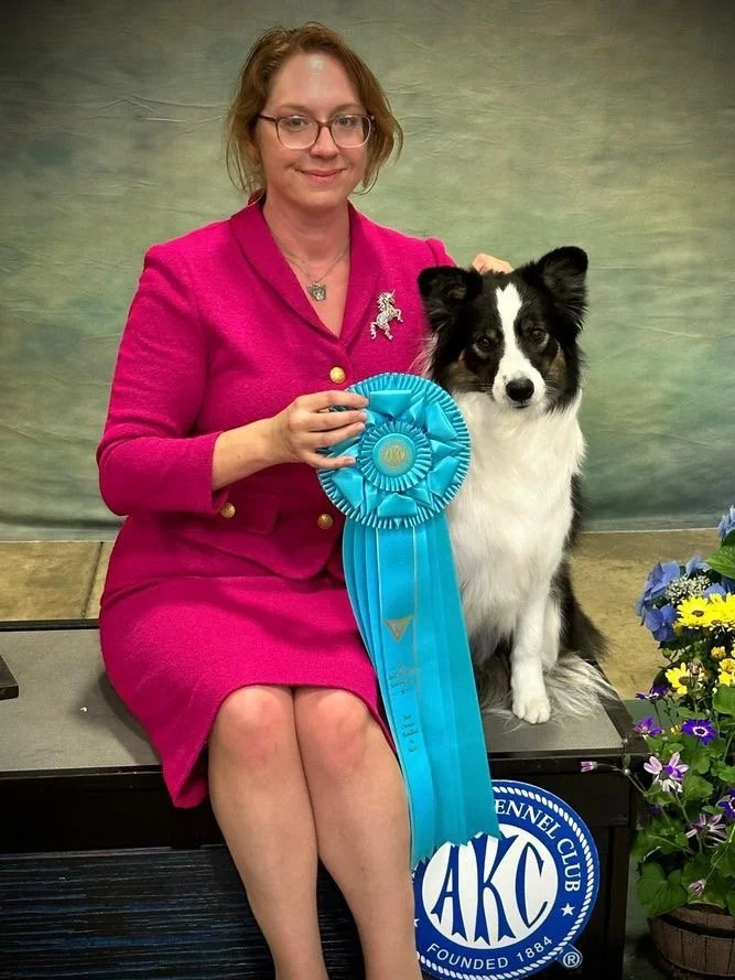 Border Collie Colors — BCSA