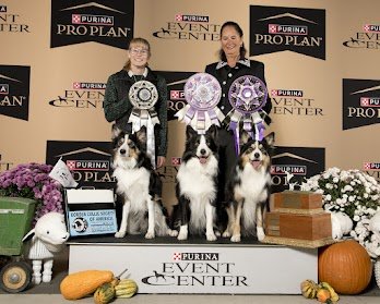 Janet Larson Versatility Competition — BCSA