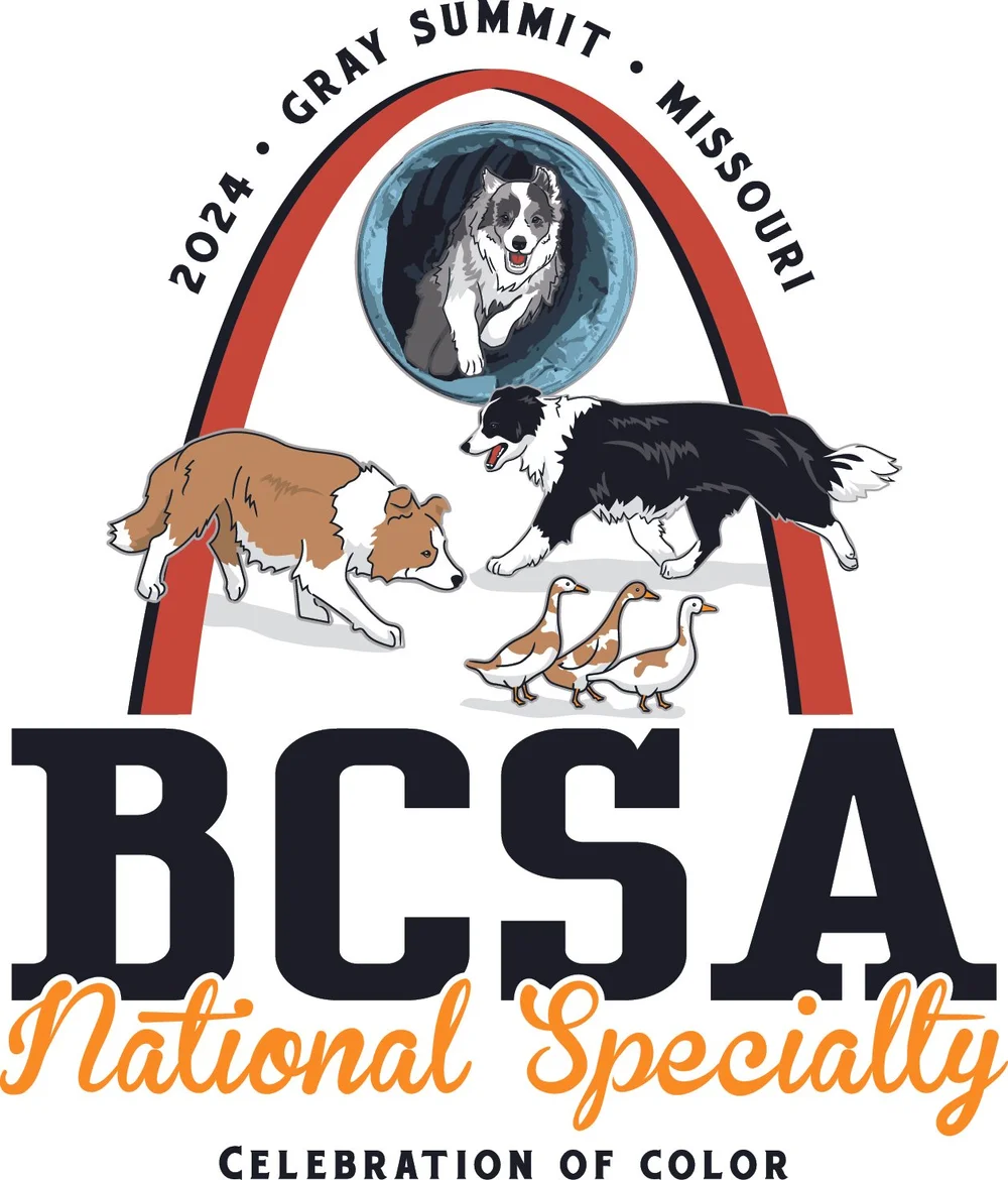 Logo Merchandise — BCSA