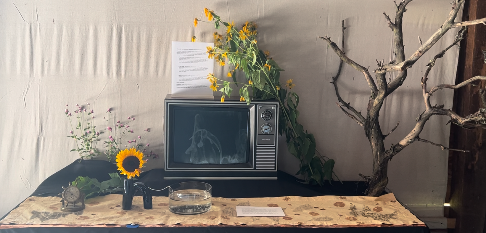 Artist Spotlights — DIGITAL ARTS BLOG