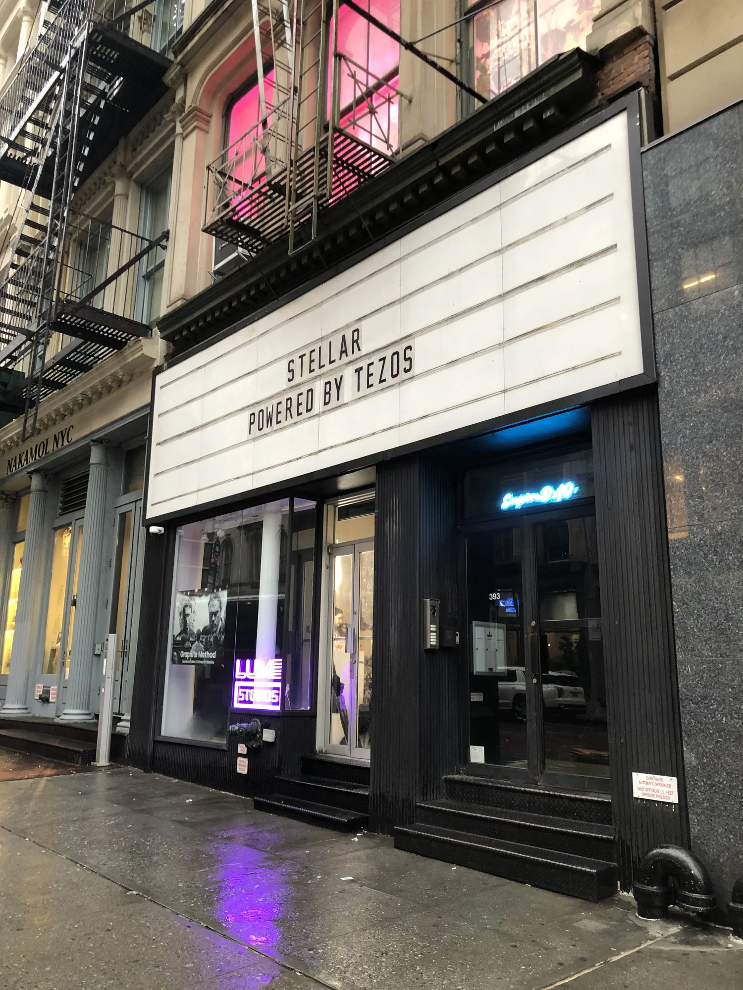 Immersive Art Experience at NFT.NYC: STELLAR — DIGITAL ARTS BLOG