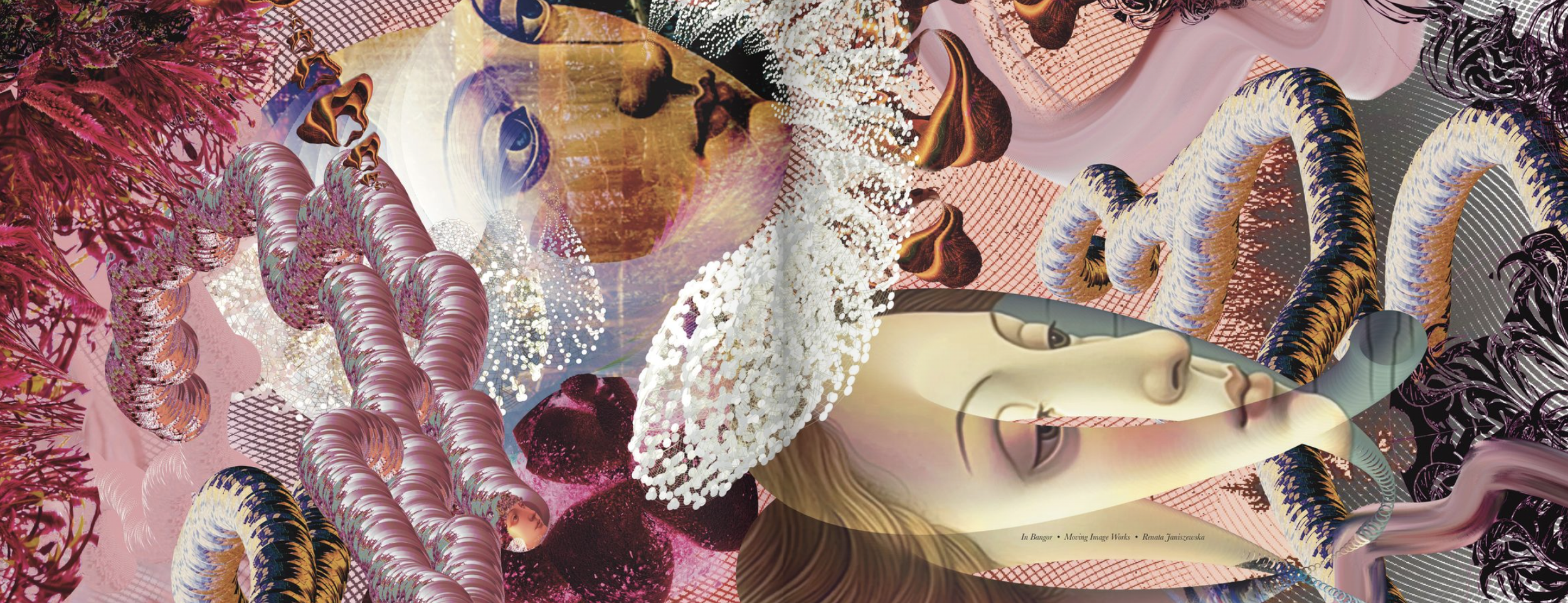 Mariniana: The Interrupted Wave — DIGITAL ARTS BLOG