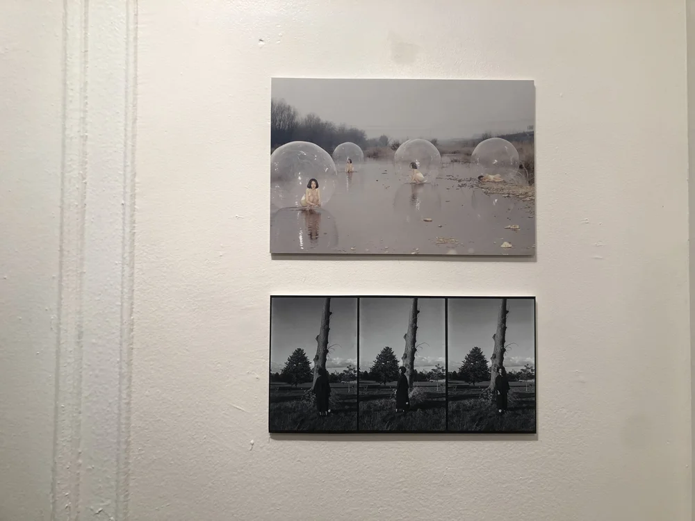 Exhibition: Female in Focus — DIGITAL ARTS BLOG