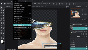How to Make a Digital Collage (Free & Online) — DIGITAL ARTS BLOG
