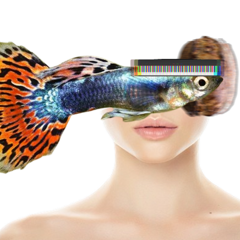 How to Make a Digital Collage (Free & Online) — DIGITAL ARTS BLOG