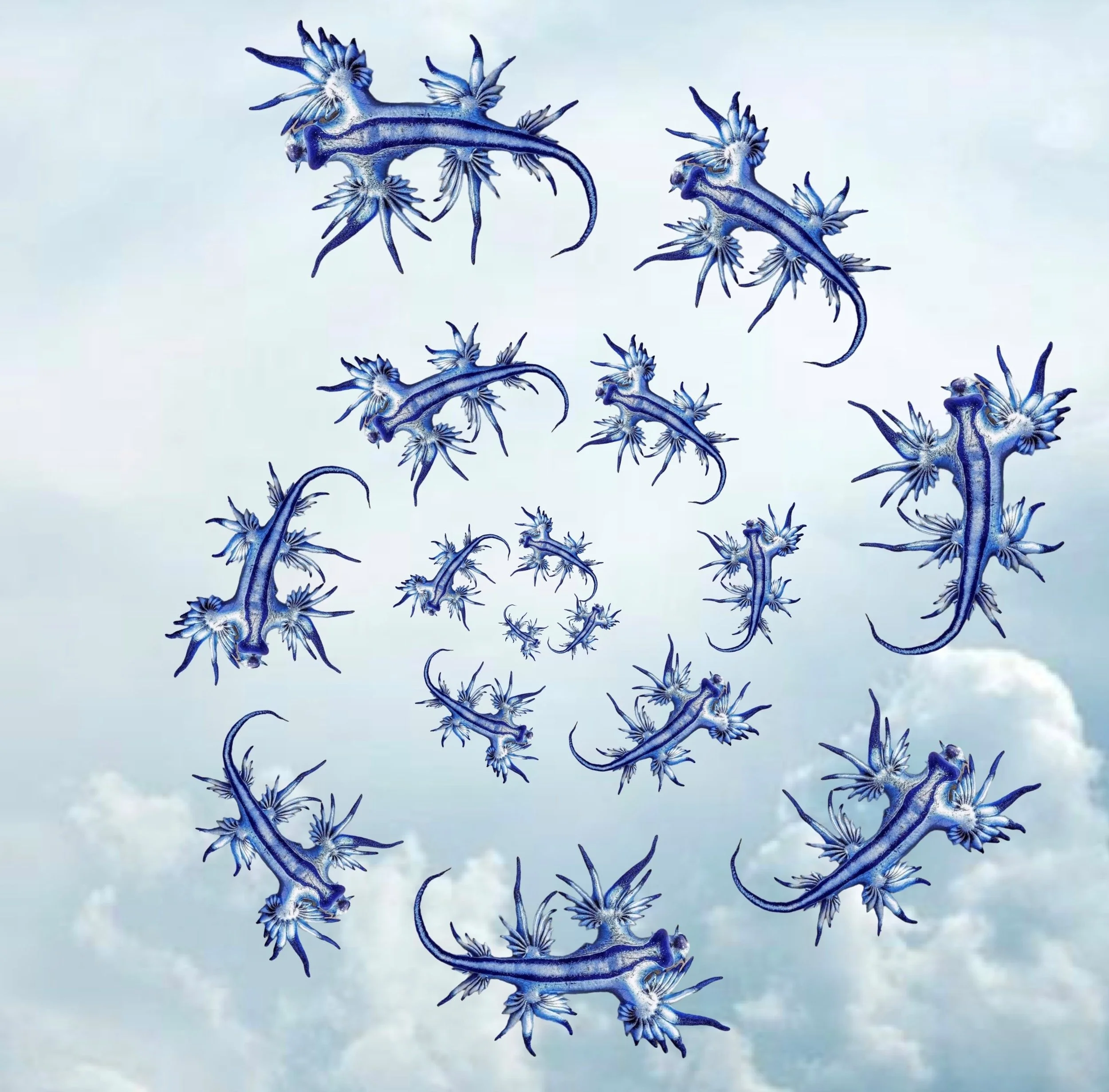 Artist Interview: Hester Brink — DIGITAL ARTS BLOG