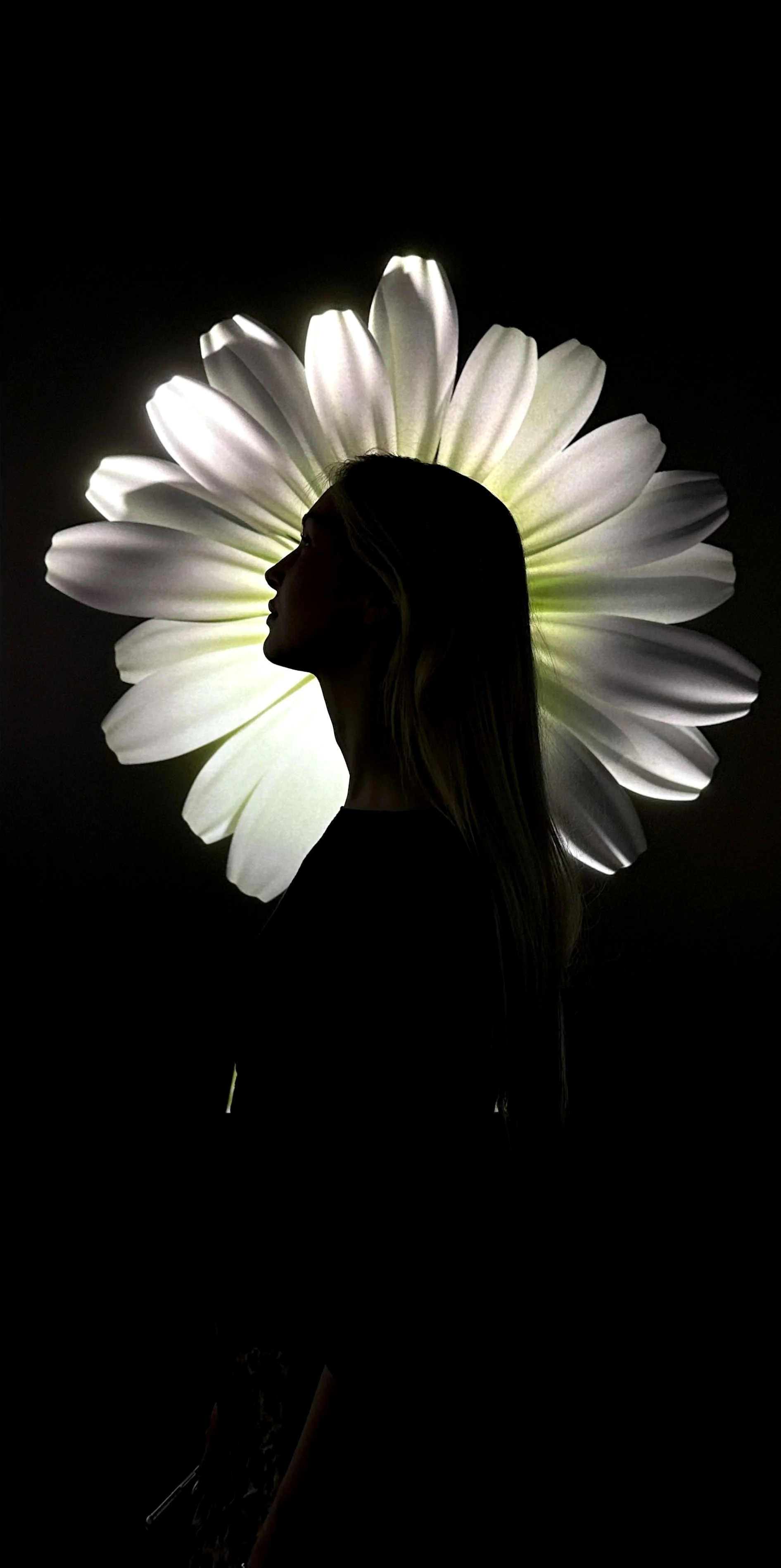 Artist Interview: Yan Paul Dubbelman — DIGITAL ARTS BLOG