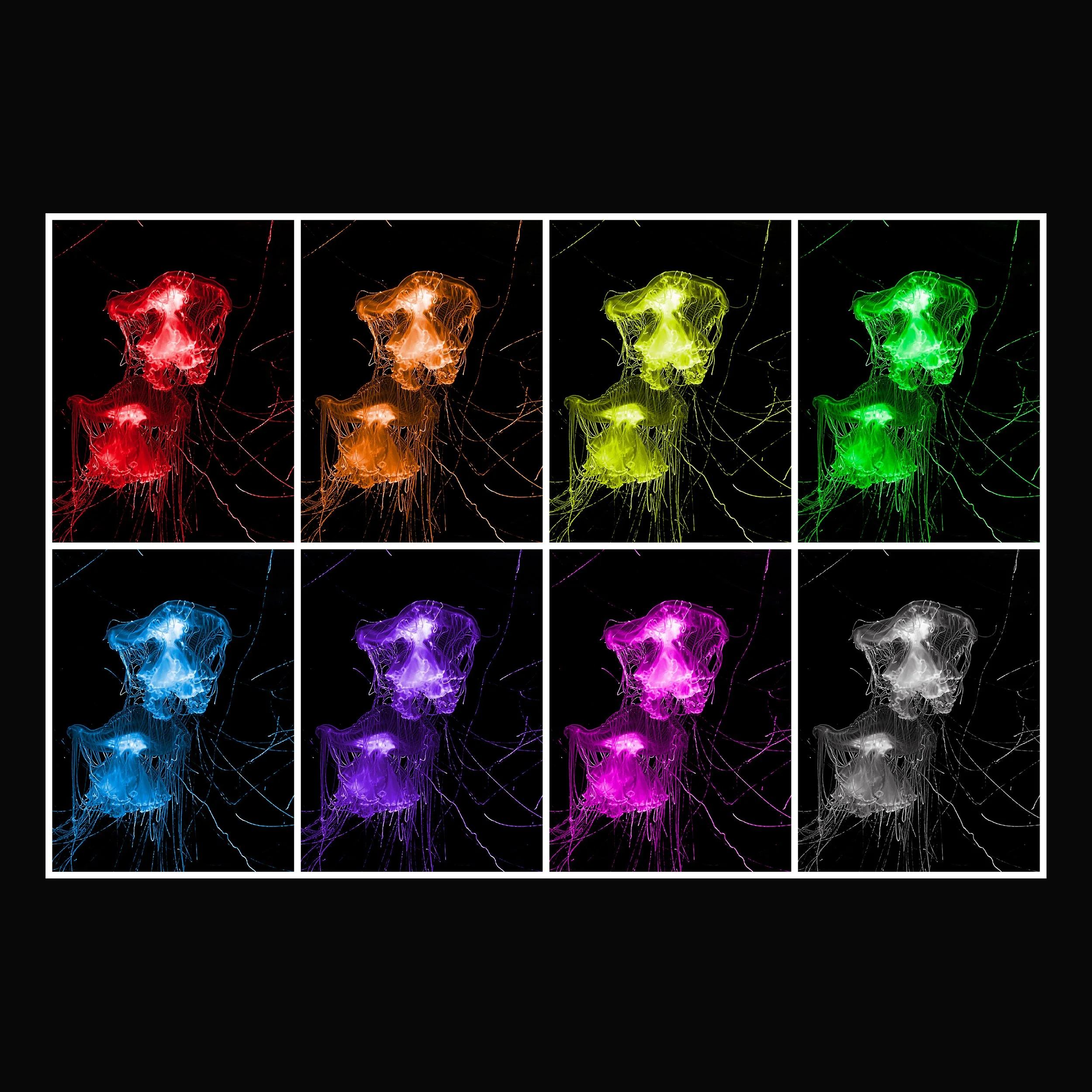 When does photography become digital art? — DIGITAL ARTS BLOG