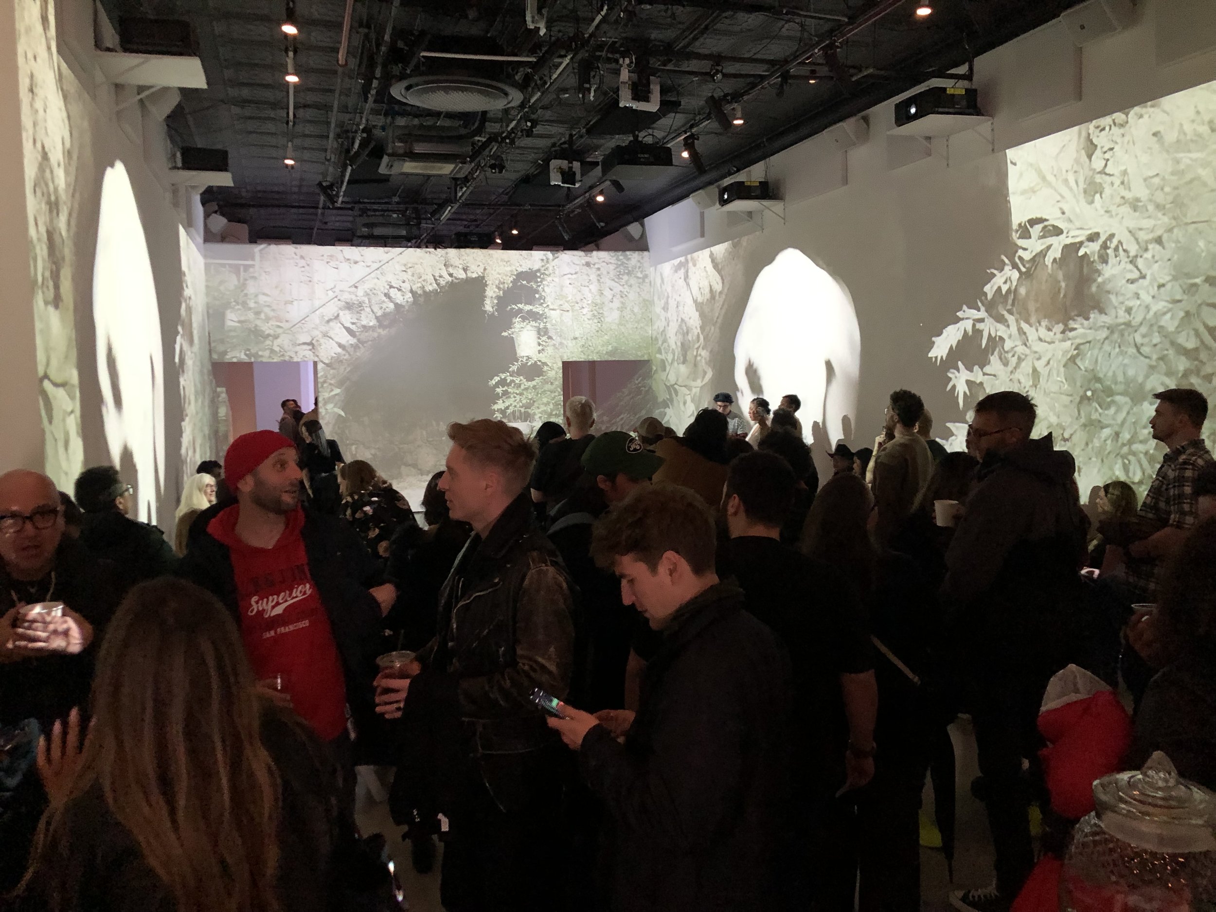 Immersive Art Experience at NFT.NYC: STELLAR — DIGITAL ARTS BLOG