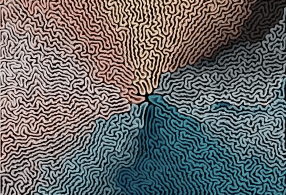 How to Create Generative Art with Nannou — DIGITAL ARTS BLOG
