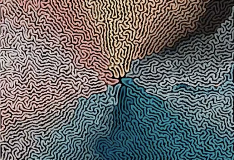 How to Create Generative Art with Nannou — DIGITAL ARTS BLOG