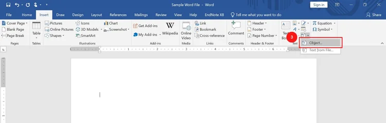 How to Embed an Excel File within a Word Document | Excel in Science